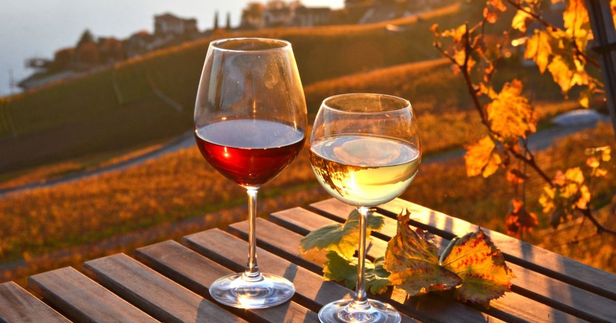 Wein